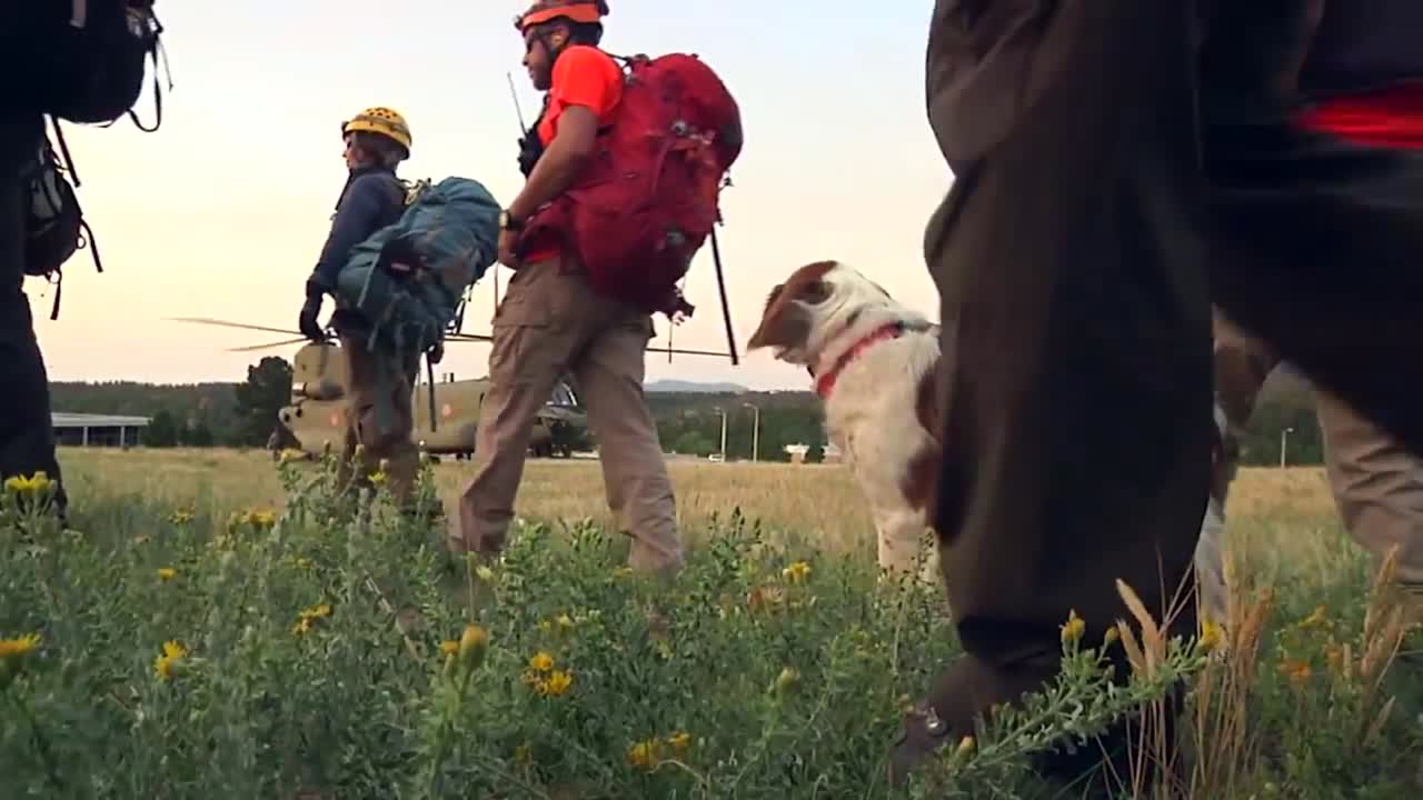 Colorado Search And Rescue Teams Prepare For A Mission Free Stock Video ...