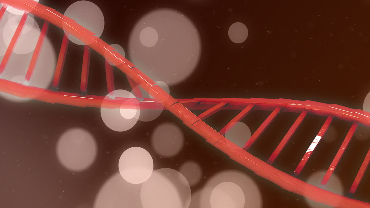 Animation Of Spots And Shapes Over Dna Strand Free Stock Video Footage ...