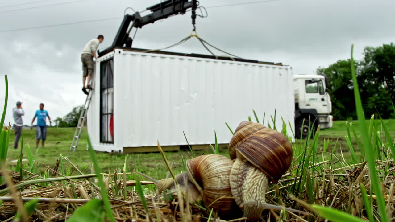 Snails Time Lapse Near Green Grass, Construction Workers Build A Roof ...