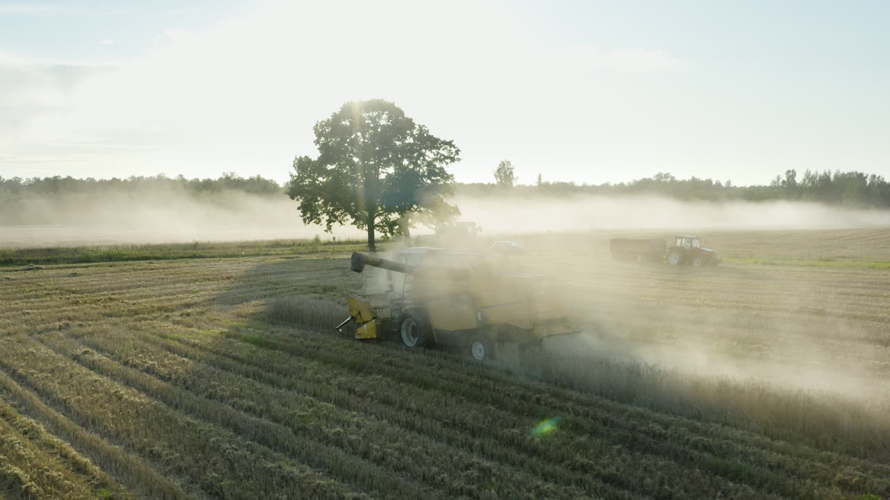 Combine Harvester Machine Harvesting Rye Grain Cereal Crop, Aerial View ...