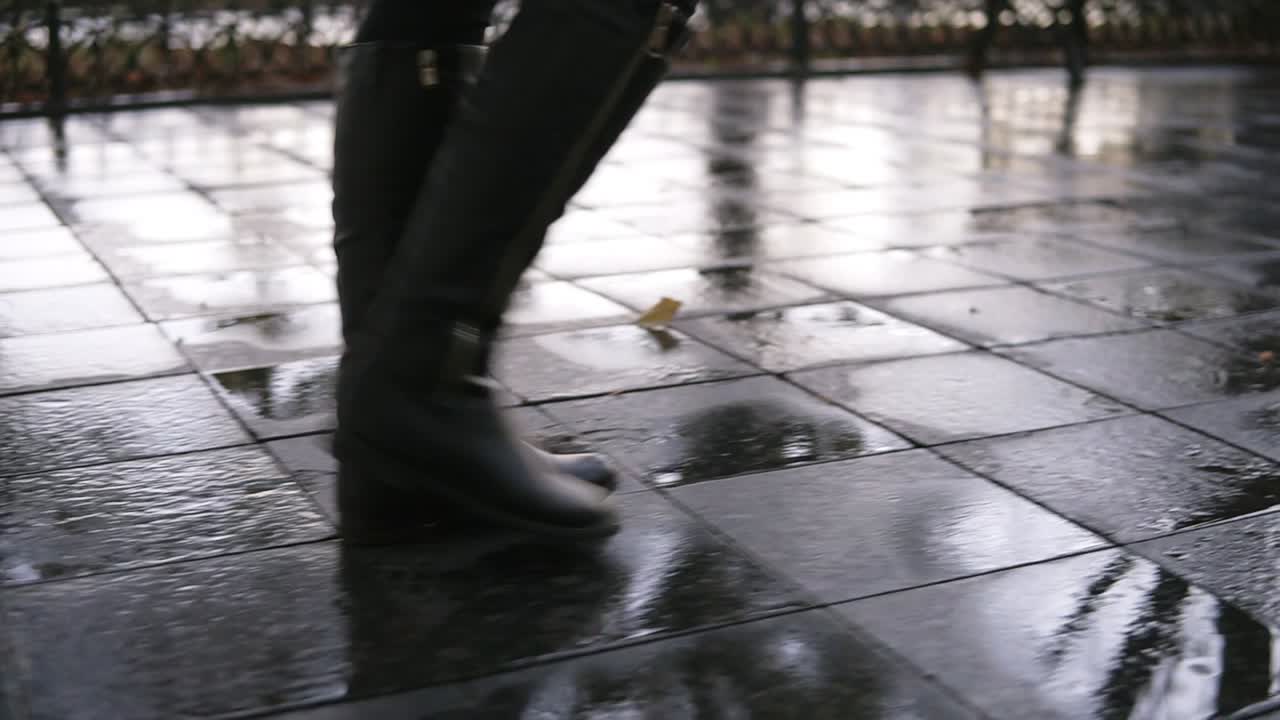 Free stock video - Woman take a walk at autumn park walking along the ...