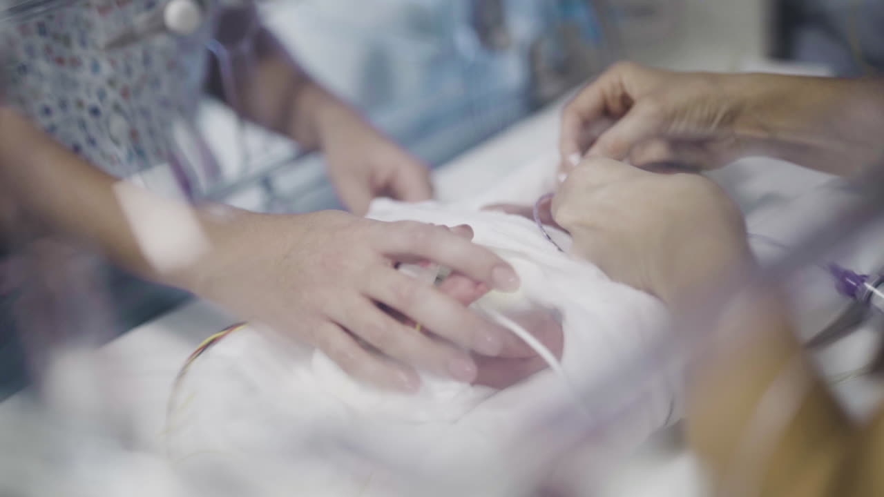 Nurse Taking Care Of Newborn Baby Premature In Incubator, Doctor ...