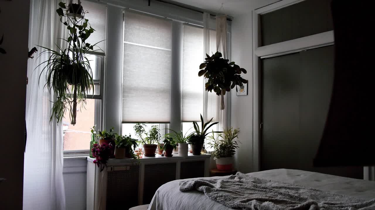 Static Wide Shot Of A Bedroom With A Lot Of Potted Plants And An Open ...