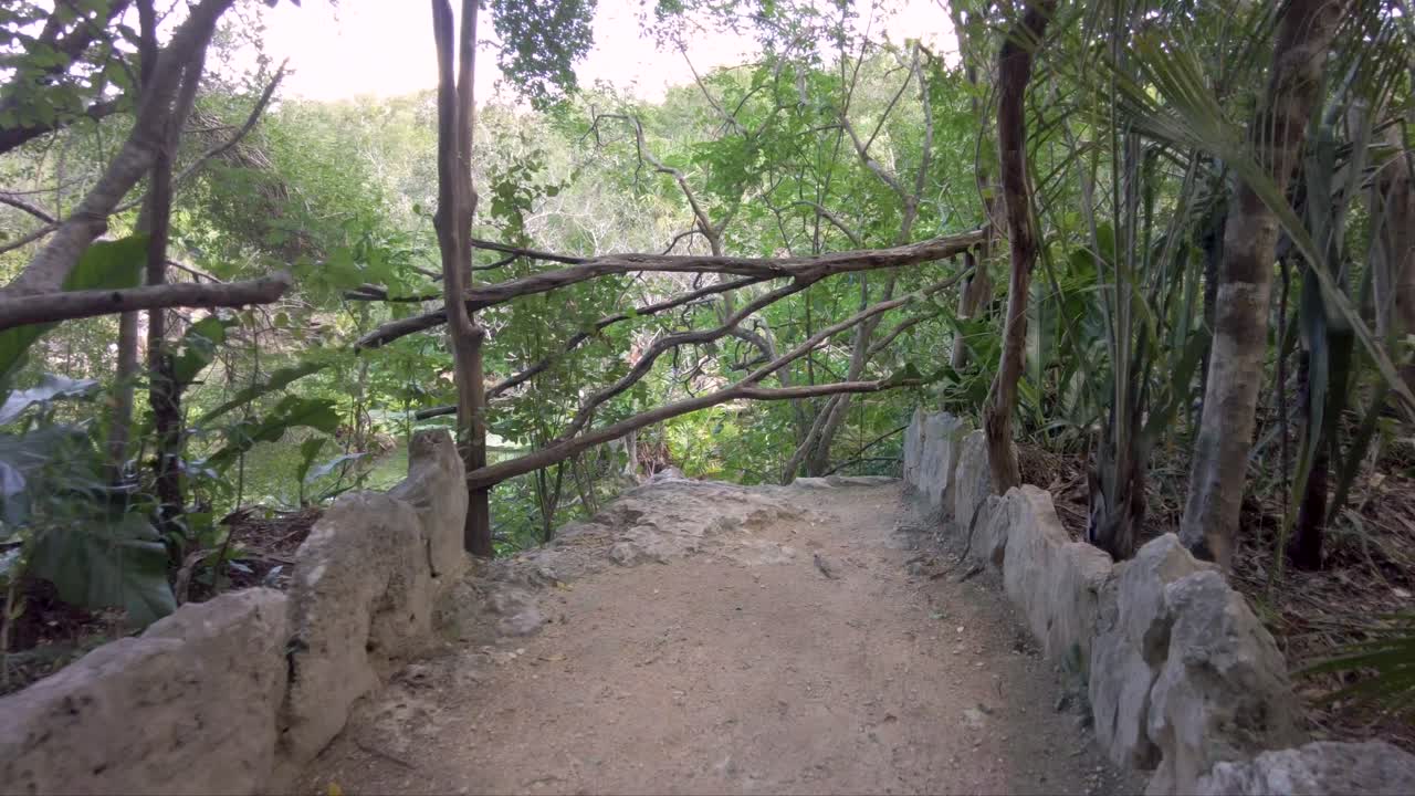 Walking On A Path Through The Jungle Arriving To An Open Cenote In ...