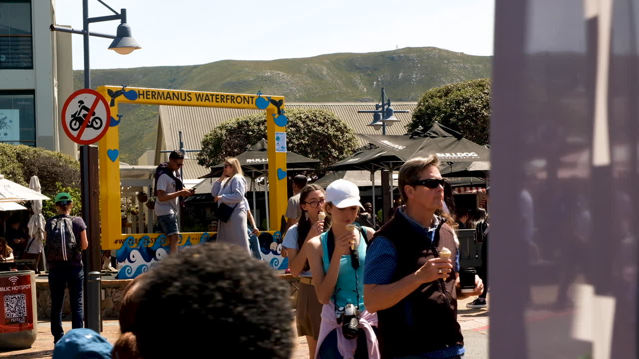 Tourists Taking Travel Pictures In The Yellow Hermanus Waterfront Frame ...