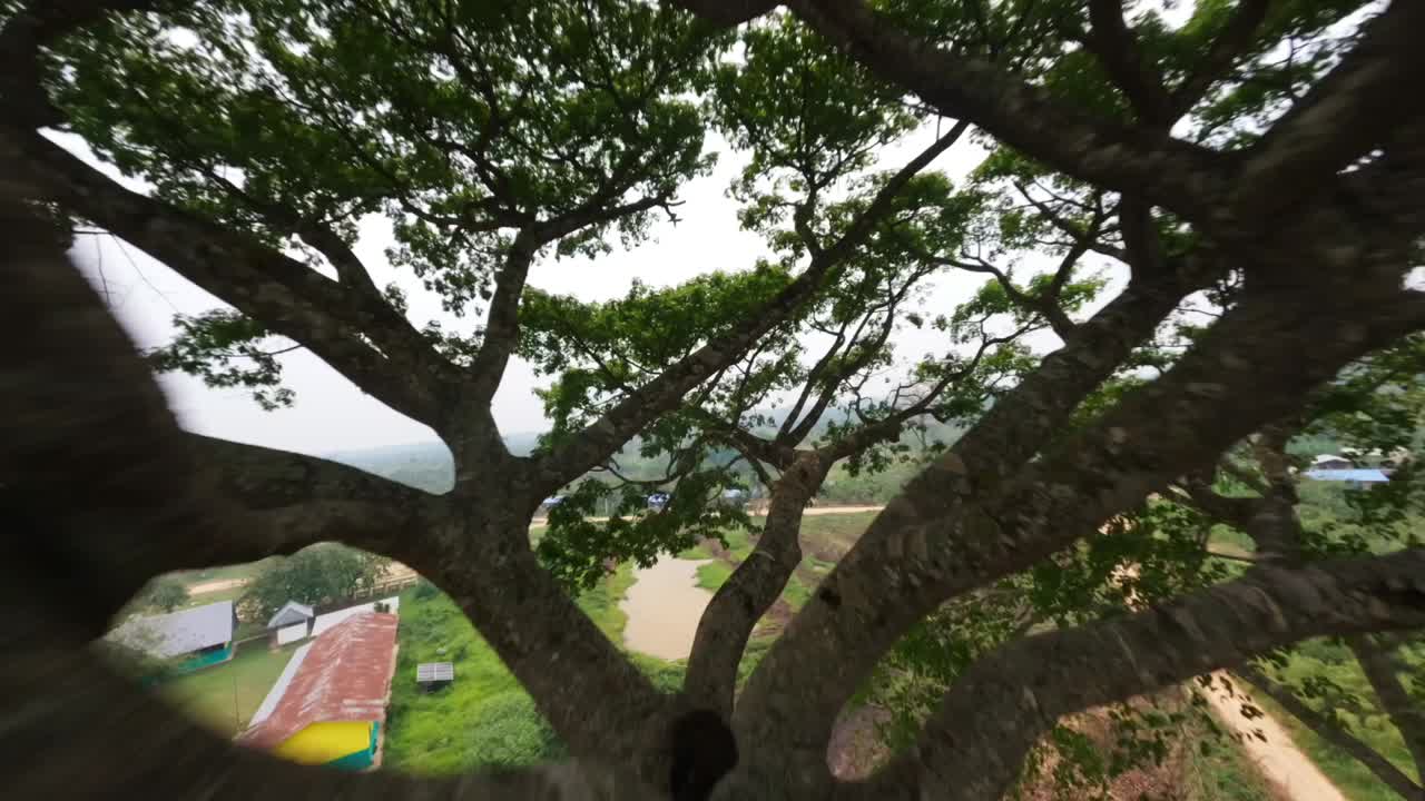 Flying An FPV Cinewhoop Drone With A GoPro Hero 10 Black Action Camera ...