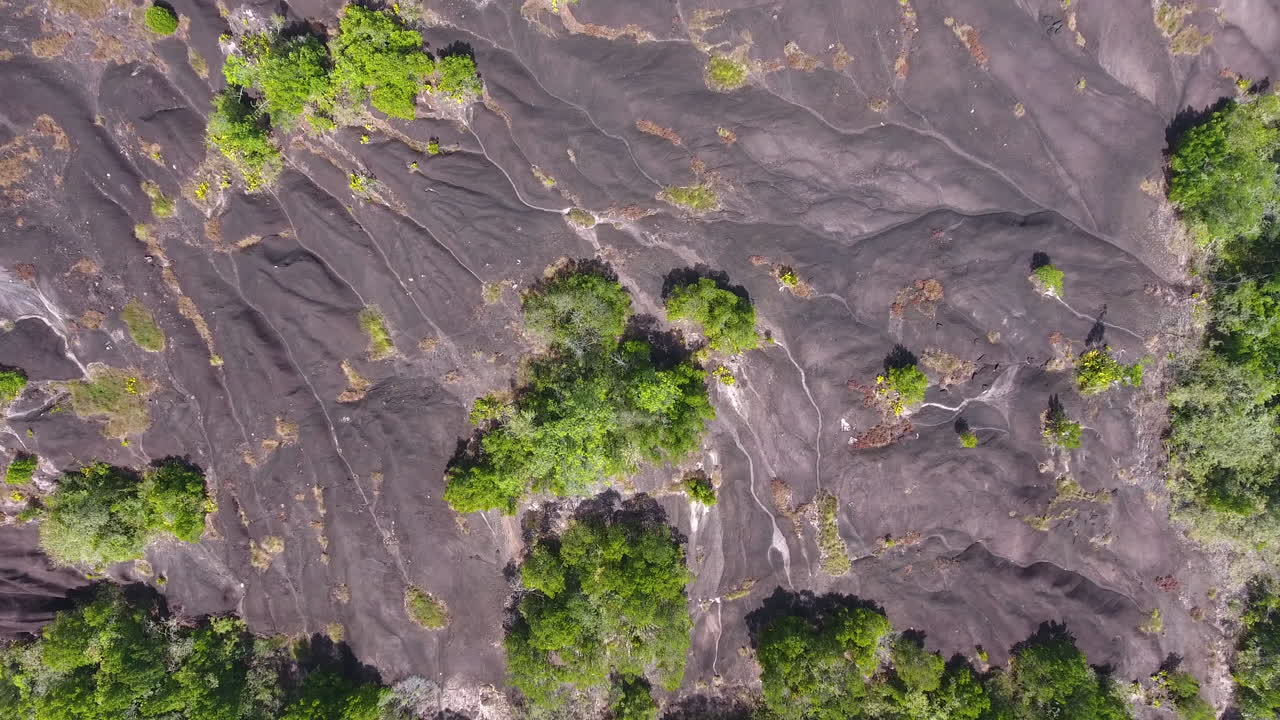 Inselberg Ecosystem In Guiana Rain Forest. Aerial Vertical View. Free ...
