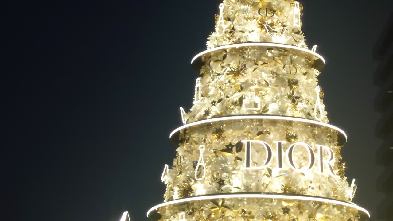 H Handheld Reveal, Beautiful Tall Christian Dior Inspired Christmas ...
