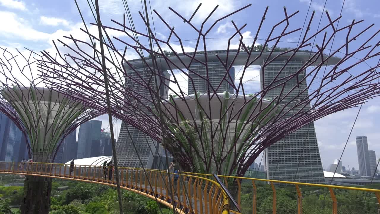 Tourists Walk Along Singapore Park Skyway Admiring Supertree Canopies ...