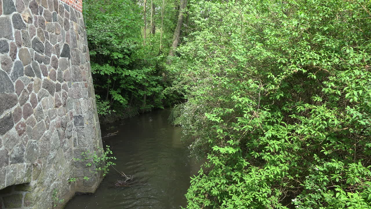 Germany Stream And Vegetation Free Stock Video Footage Download Clips Water