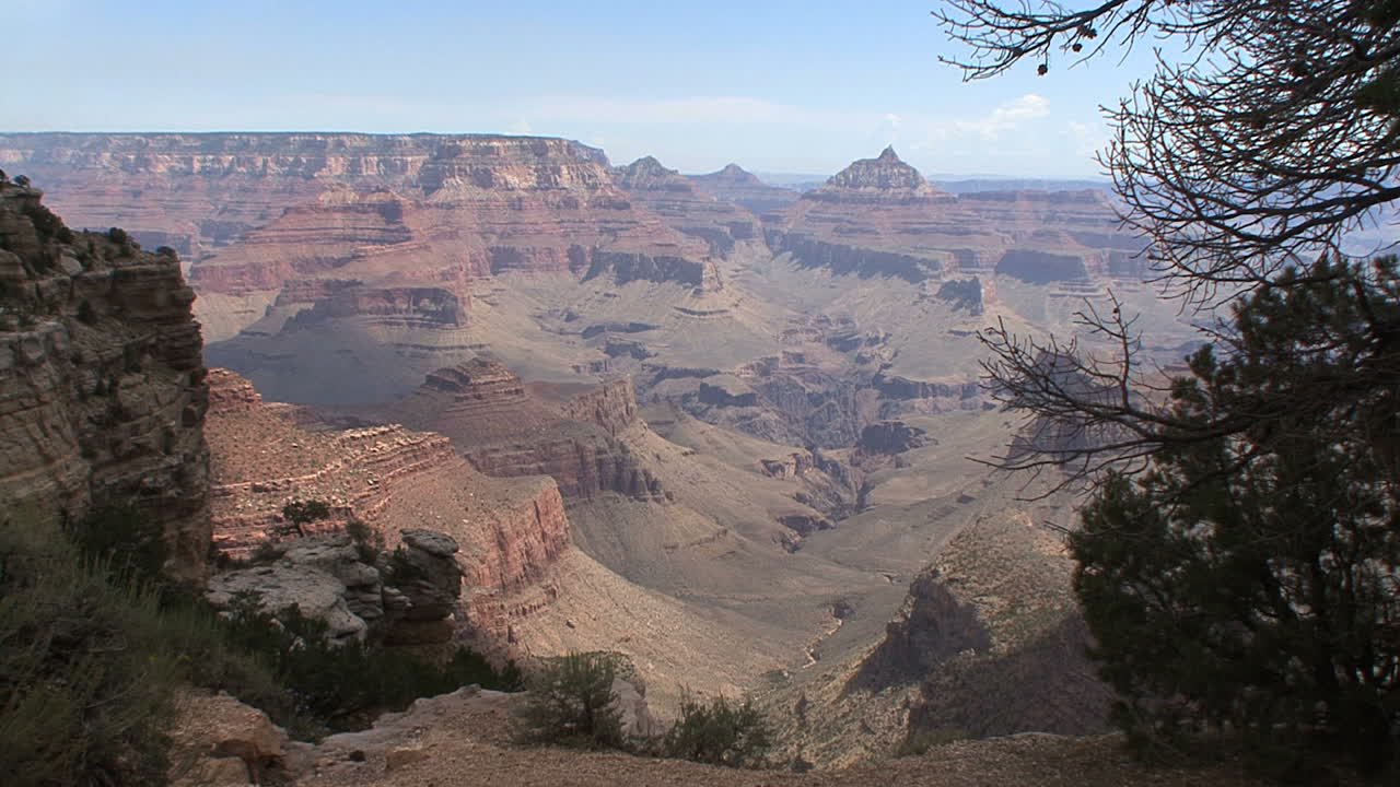 Arizona Grand Canyon Scene With Tree Limbs Free Stock Video Footage ...