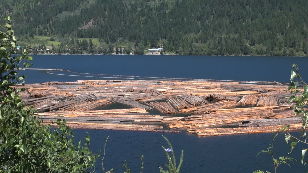 British Columbia Adams Lake Logs Free Stock Video Footage Download Clips
