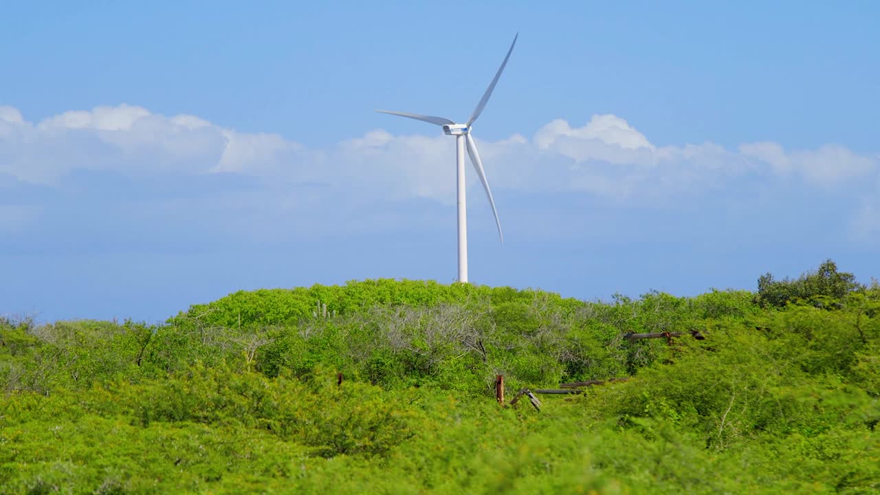 Single Wind Turbine Generating Power In A Green Field On The Caribbean ...