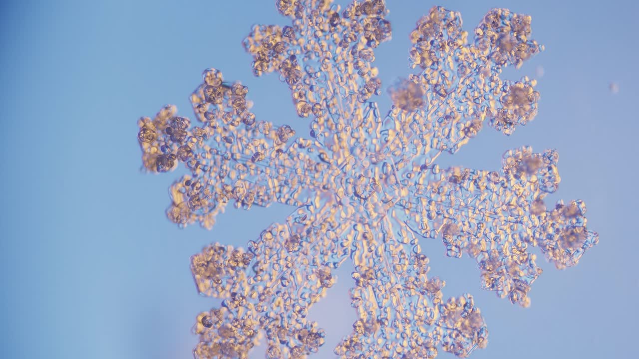 Weird Shaped Water Crystals Snowflakes Under Microscope Double Colored ...