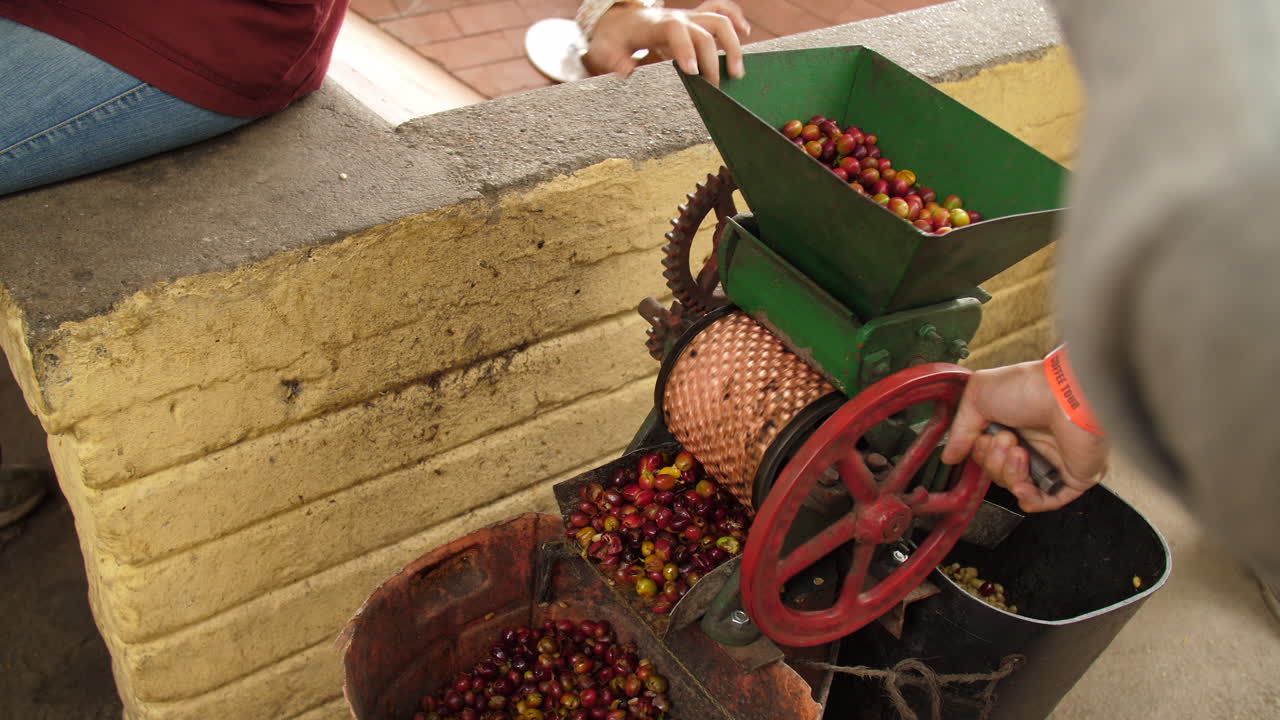 Traditional Coffee Bean Pulper Traditional Hand Cranked Free Stock ...