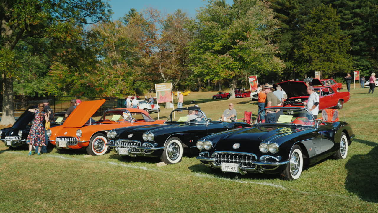 Cars At Open Air Car Show Free Stock Video Footage Download Clips Transport
