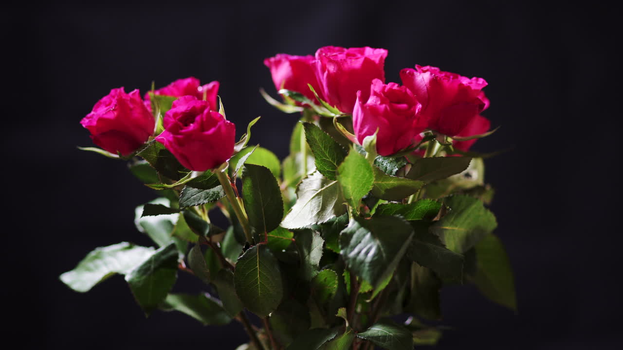 Rotating Bunch Of Pink Roses Flower With Wet Petals And Leaves Free ...