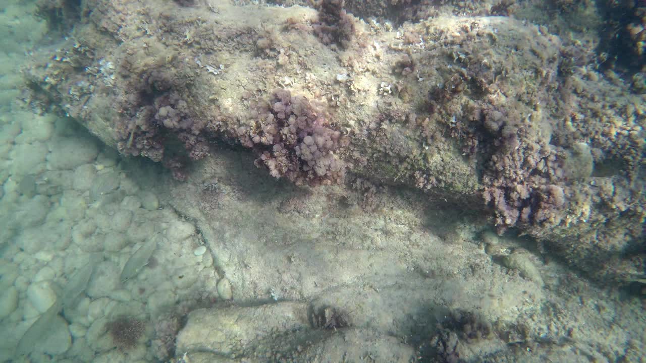 Premium stock video - Free dive submersion while snorkelling on shallow ...