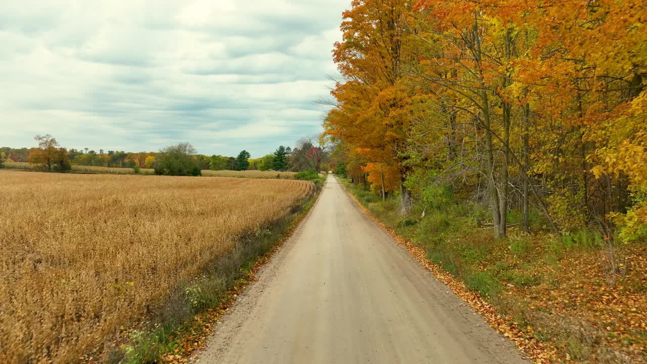 Premium stock video - Tracking forward down a bumpy dirt road in fall