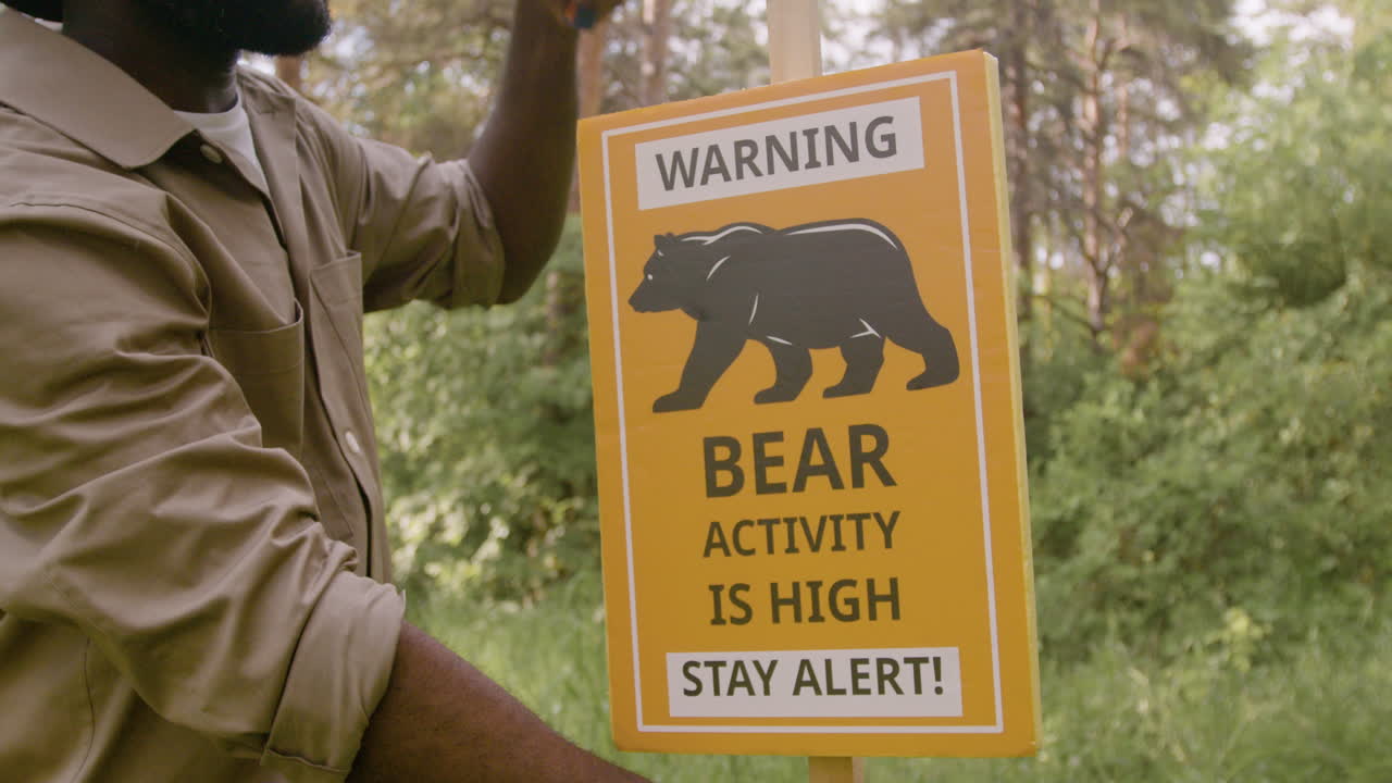 Free stock video - Close-up view of african american male forest warden ...