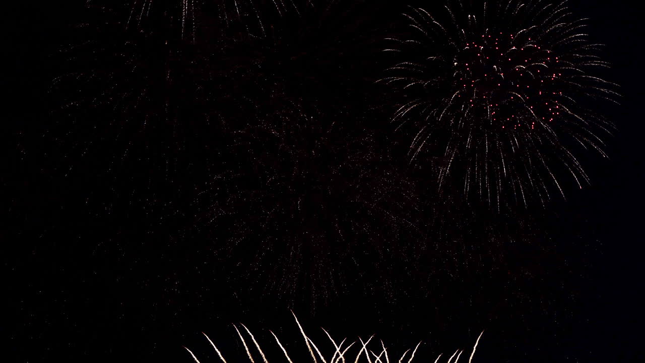 Colorful Firework Display At Night On Sky Background Free Stock Video ...