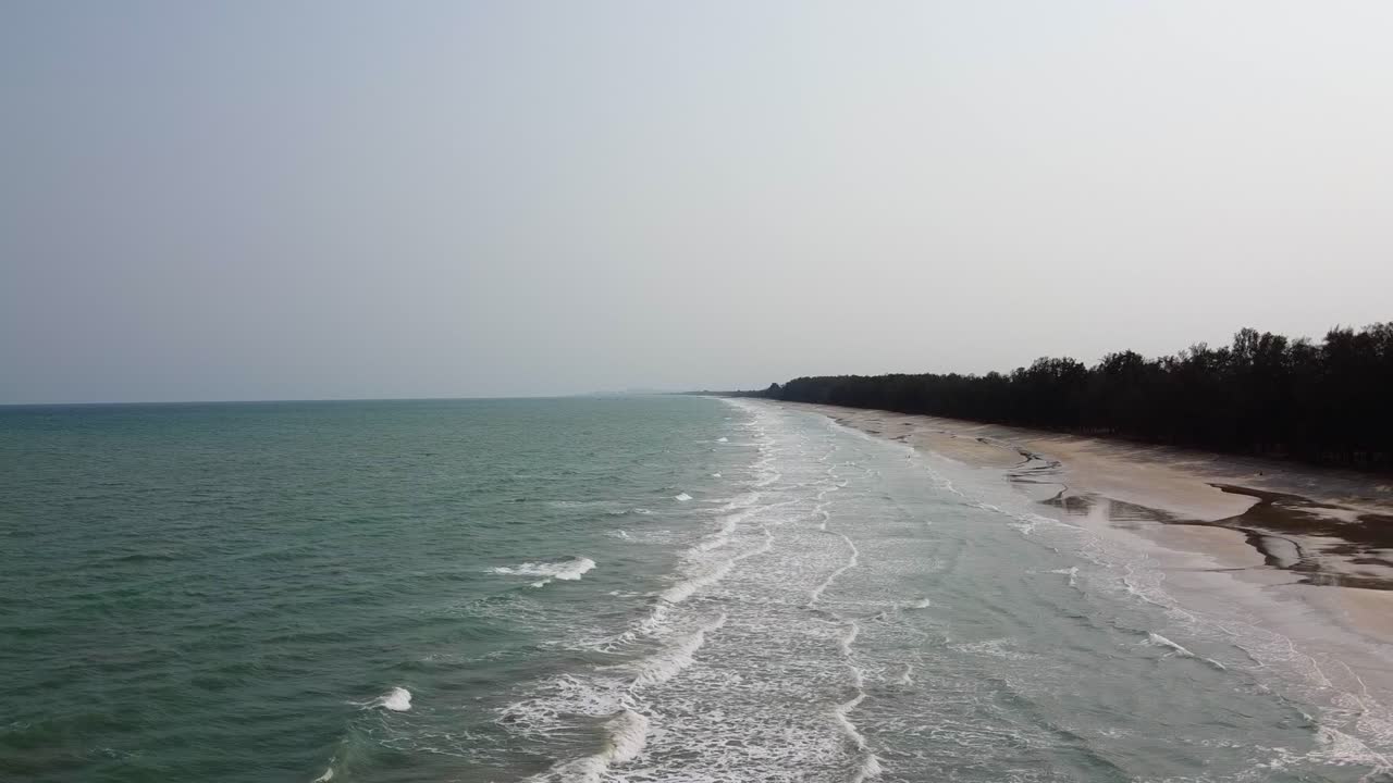 Aerial: Forest meets ocean | Premium Stock Video Footage