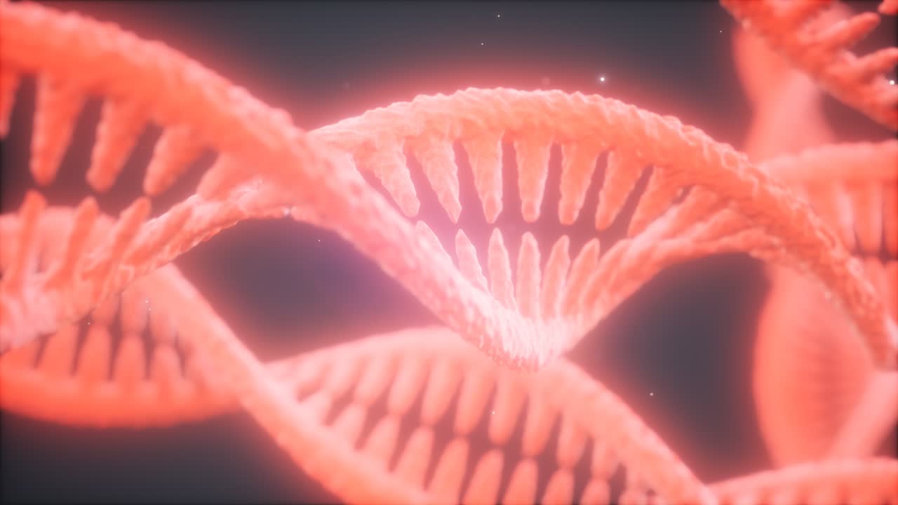 Double Helical Structure Of Dna Strand Close-up Animation Free Stock ...