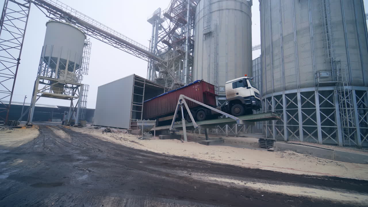Unloading crops from a lorry to grain storage. Lorry standing on a ...