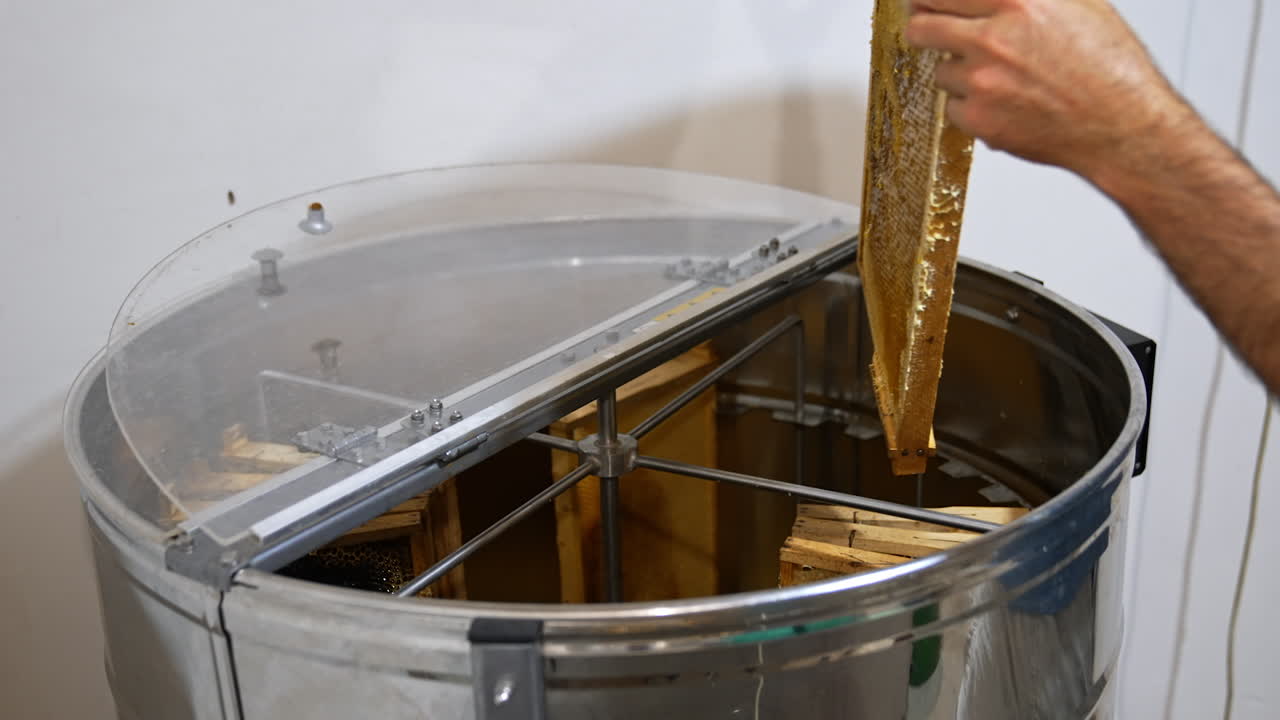 Apiarist inserts the honey wooden frame into metal barrel centrifuge ...