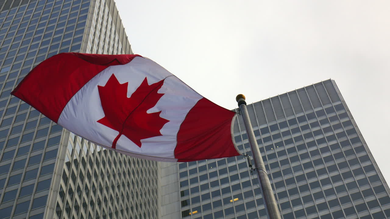 Low angle shot, low angle view of canada flag waving in wind, and ...