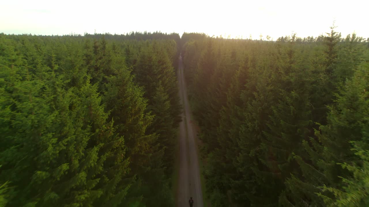 Premium Stock-Video - Drohne fliegt über eine gerade straße, die durch den wald in richtung ...
