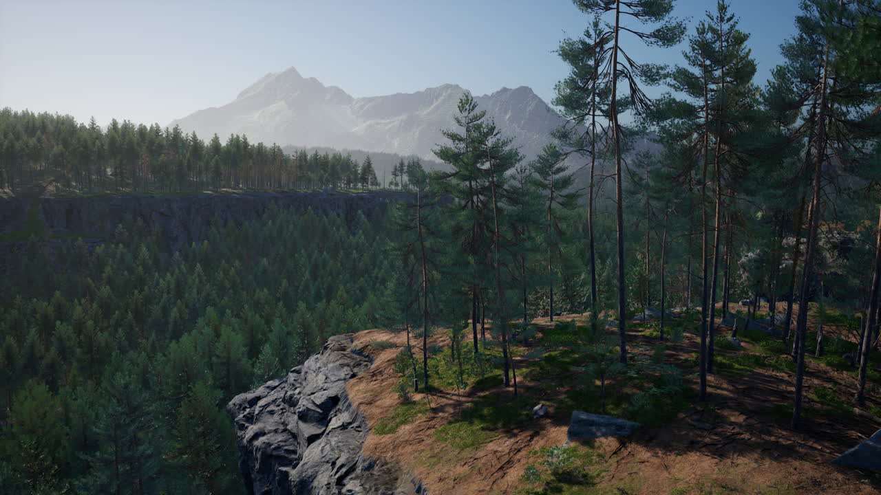 Mountainous pine forest viewpoint Premium Stock Video Footage