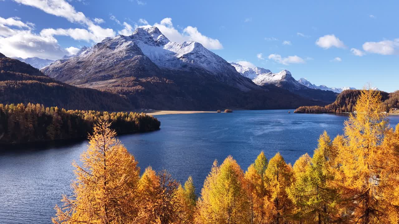 Brilliant golden autumn larch trees framing the blue waters of Lake ...