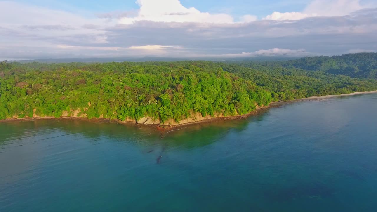 Premium stock video - Backward flying aerial of wild jungle coiba ...