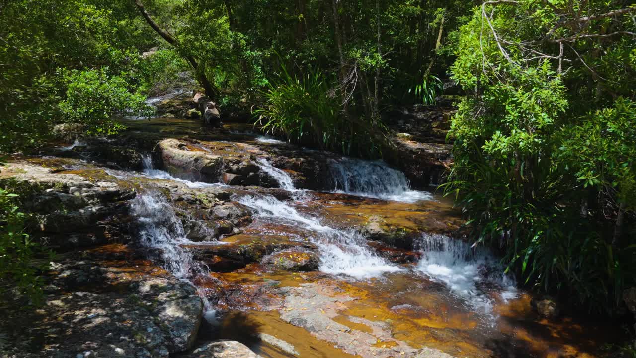 Premium stock video - Springbrook national park water stream to ...