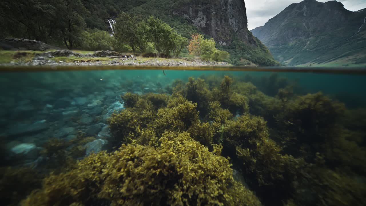 Premium stock video - An over-under water video