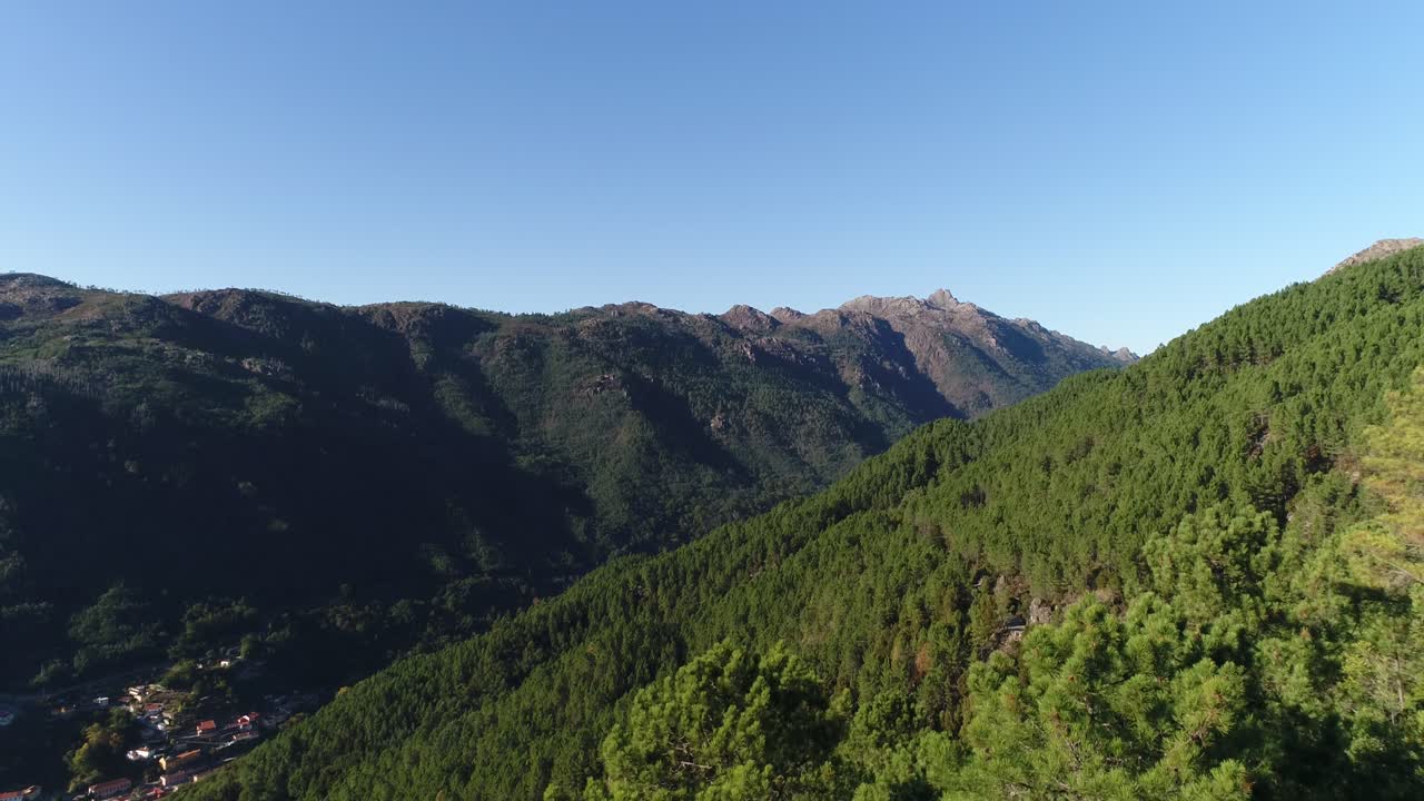 Premium stock video - Flying over tree tops, nature background in 4k