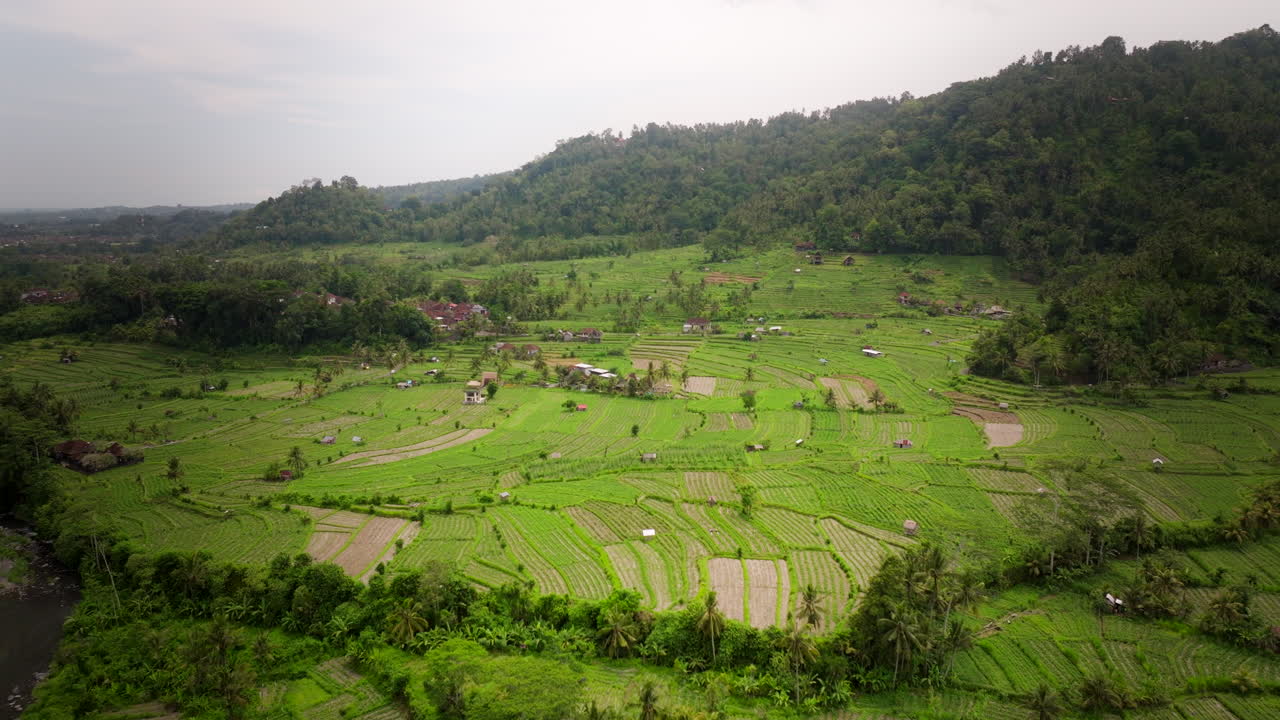 Rice Paddy Fields Form Natural Agriculture Patterned Texture In Sidemen ...