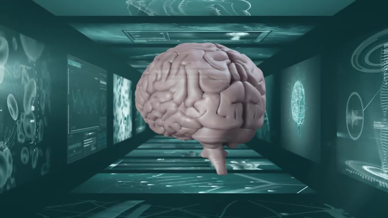 Animation Of Humain Brain Spinning Over Screens Of Medial Scans Free ...