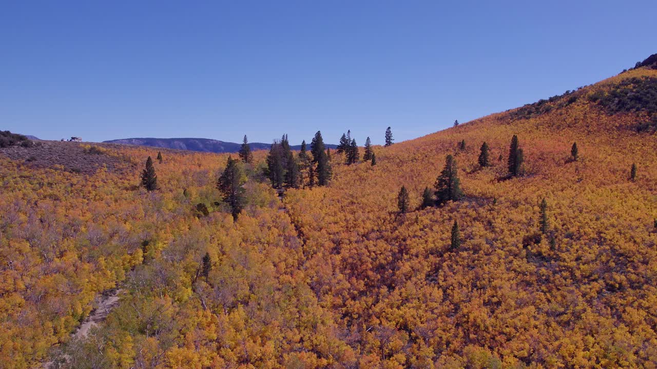 Premium stock video - Fall colors at sage hen summit in mono county ...