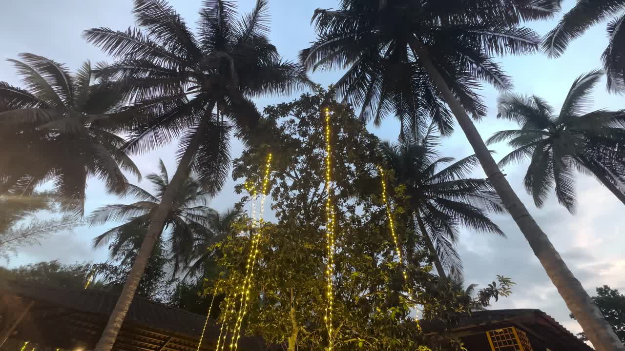 String Lights Hanging From The Trees - Indian Decorations For Hindu ...