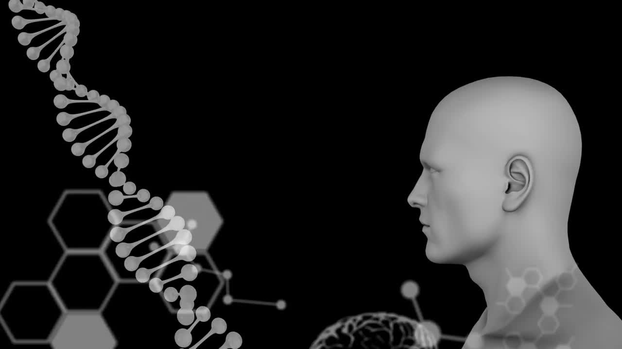 Animation Of Dna Strand, Human Brain, Molecules, Scientific Data ...
