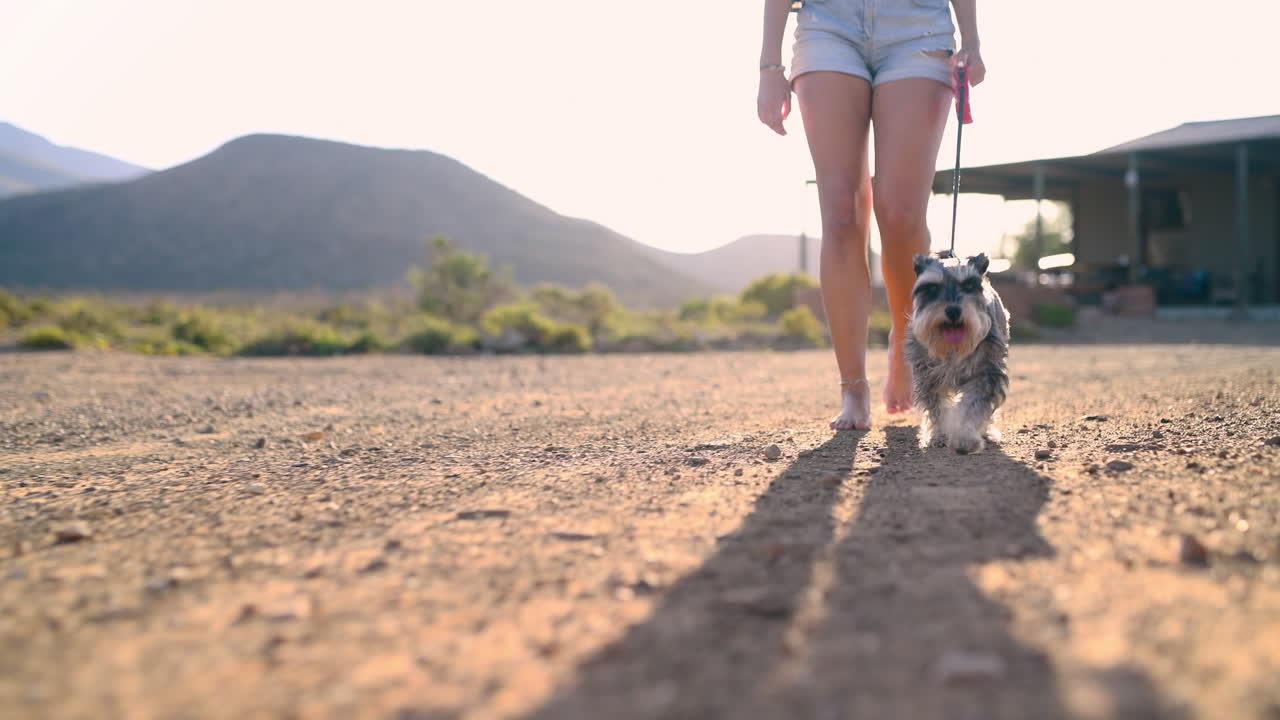 Premium Stock Video The Biggest Backyard Ever