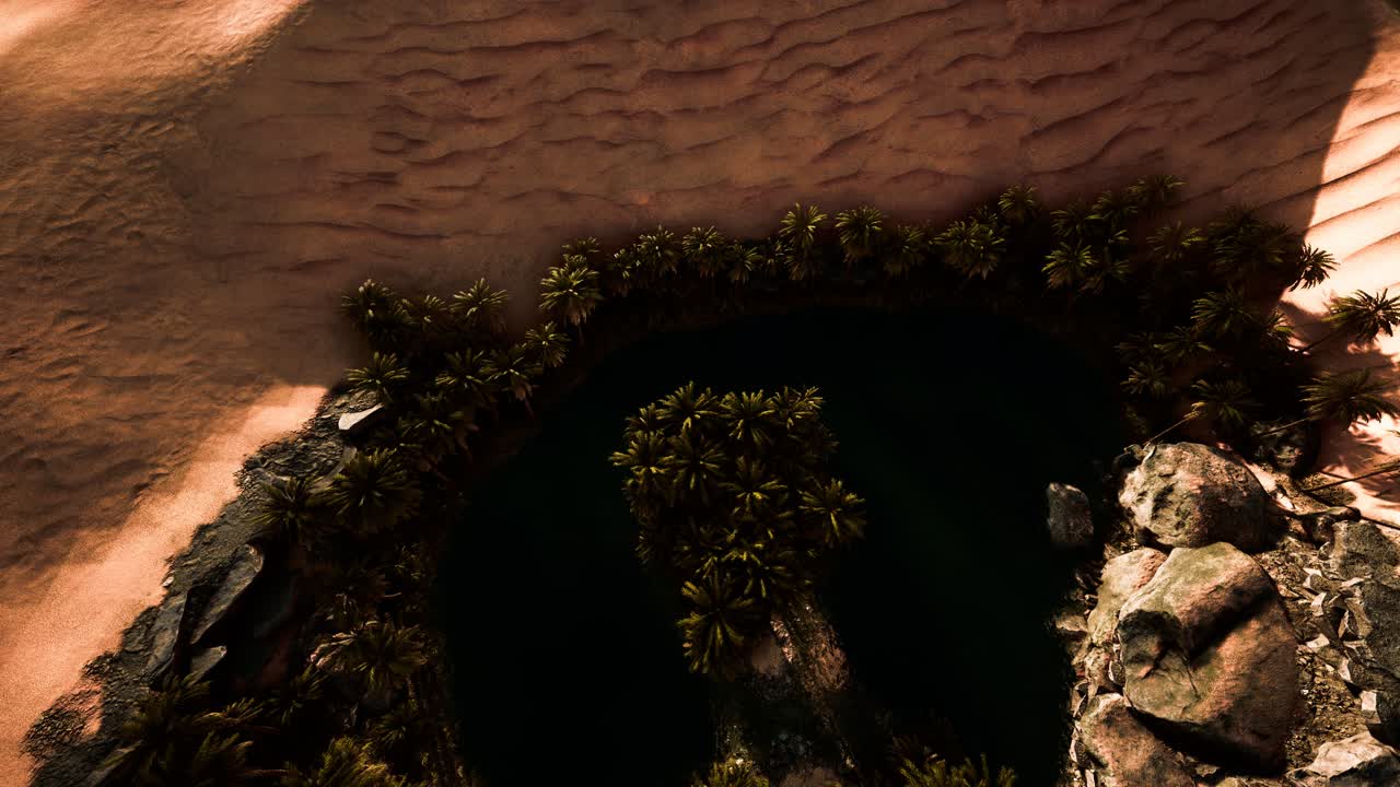 Free stock video - Top down aerial view of oasis in desert