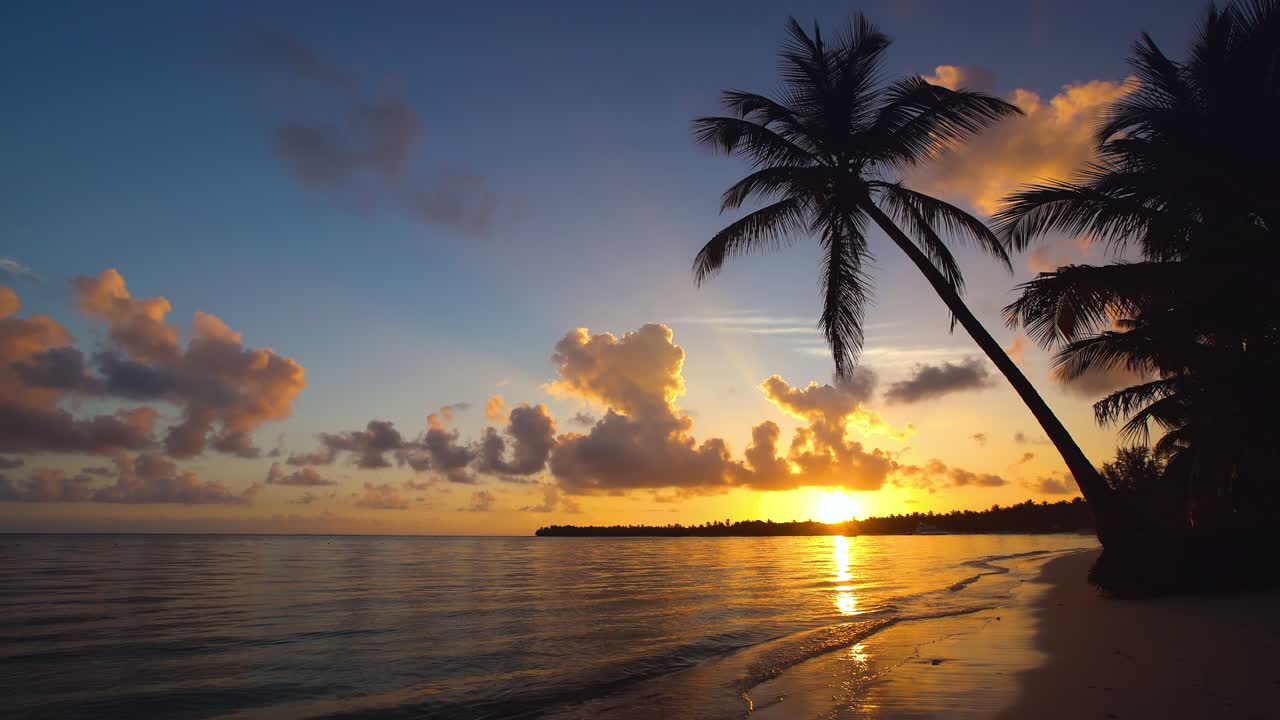 Sunrise or sunset view of palm tree and beautiful tropical beach ...
