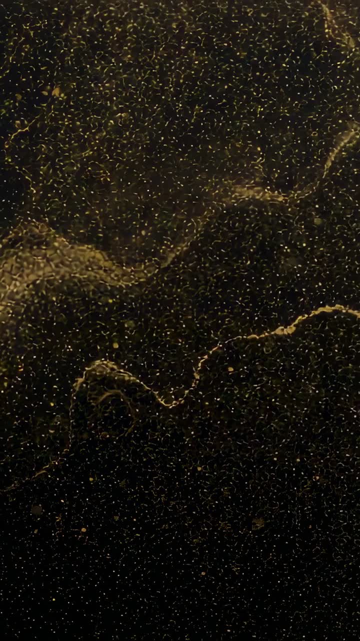 Vertical video: Emerging dots from right forming golden dust ribbon on ...