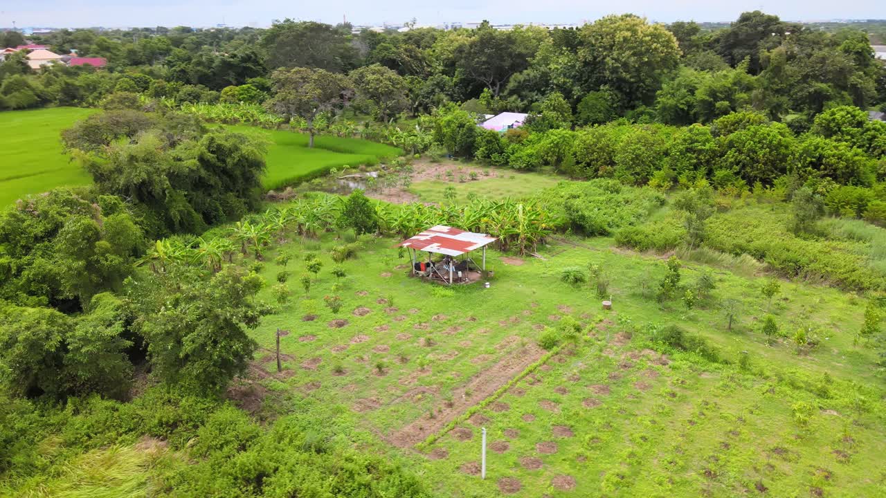 AERIAL: Farm Shack In The Middle Of A Rice Field In Thailand Free Stock ...