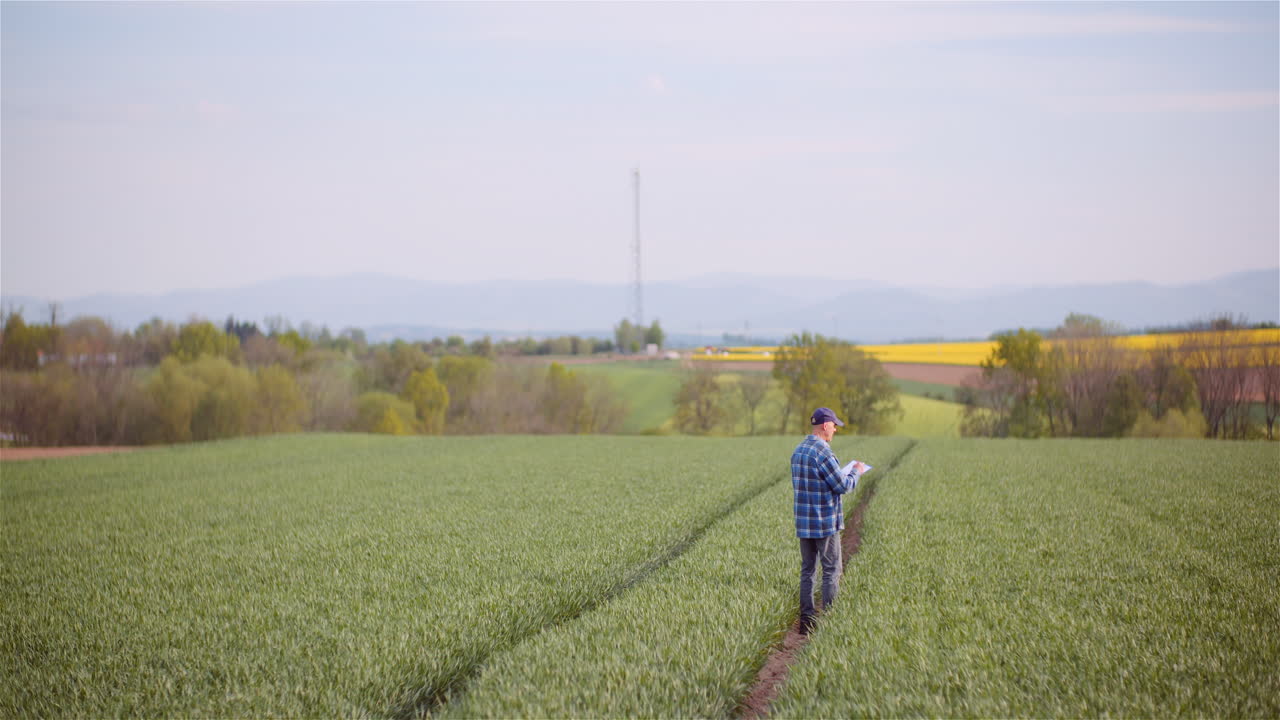 Premium stock video - Agronomist examining crops and writing notes in ...