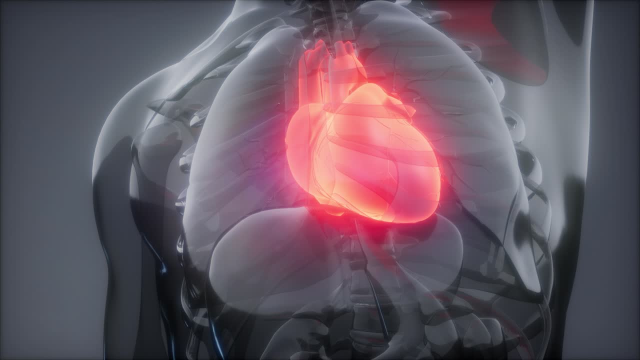 Vídeo Premium - Examen de radiología del corazón humano