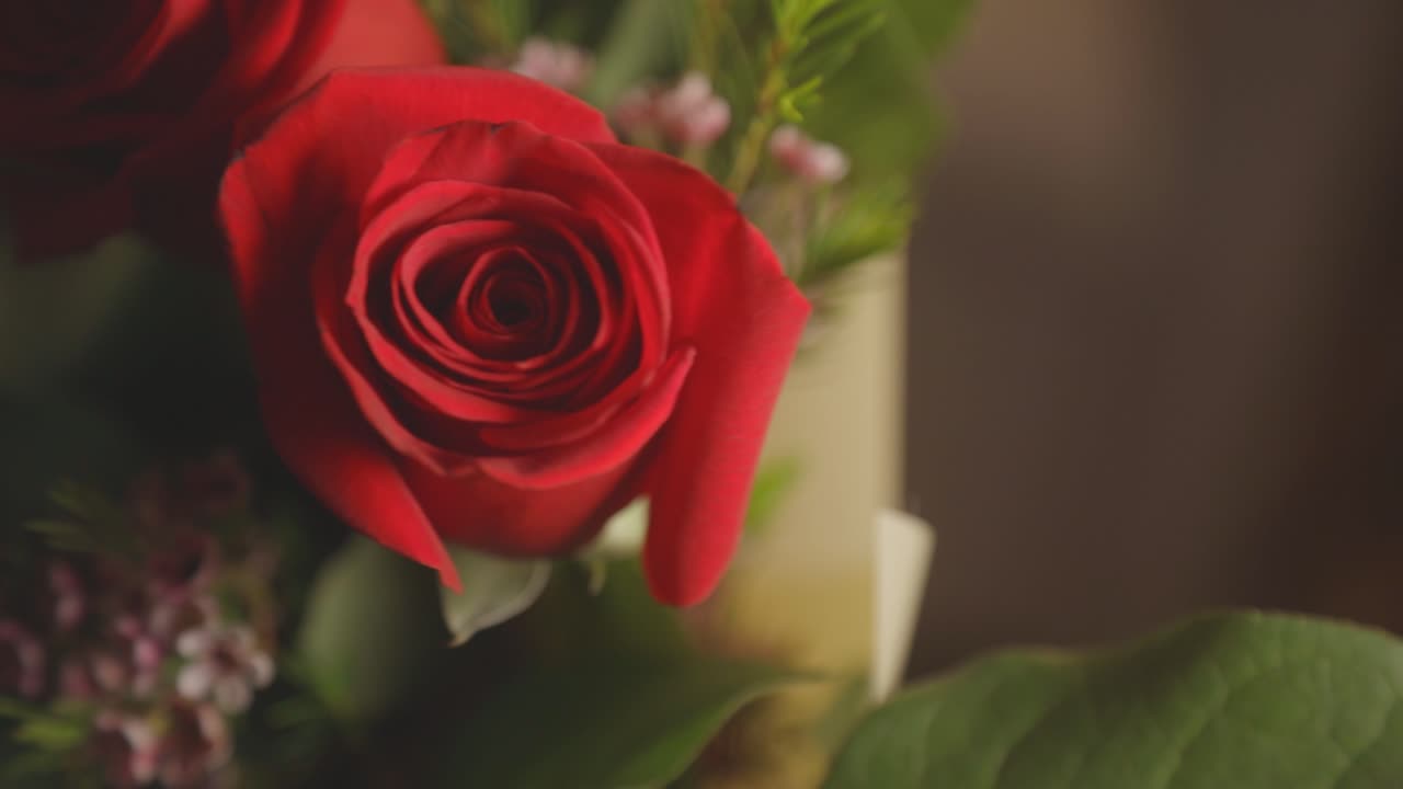 Premium stock video - Rotating bunch of red roses - close up shot